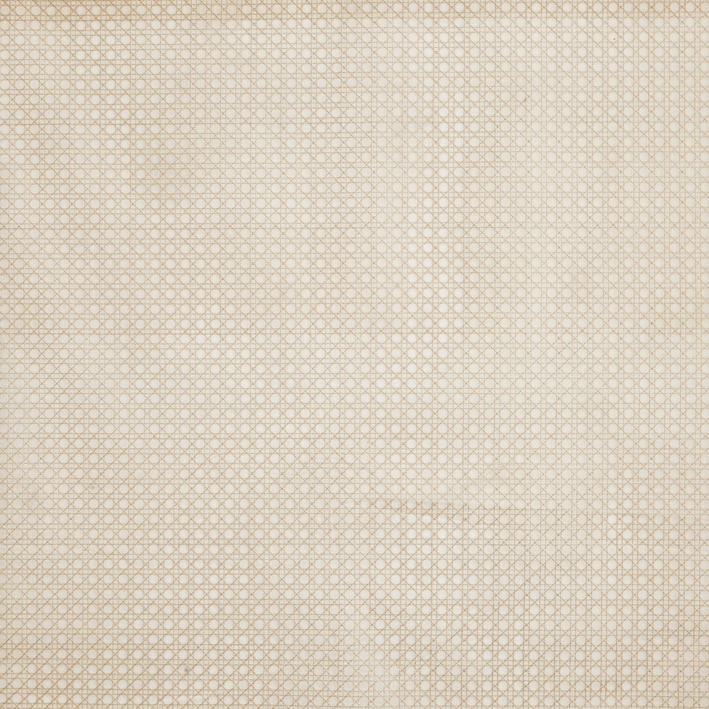 Symmetry Fabric - Husk | Prestigious Textiles Minimalist Fabrics | 4190/156