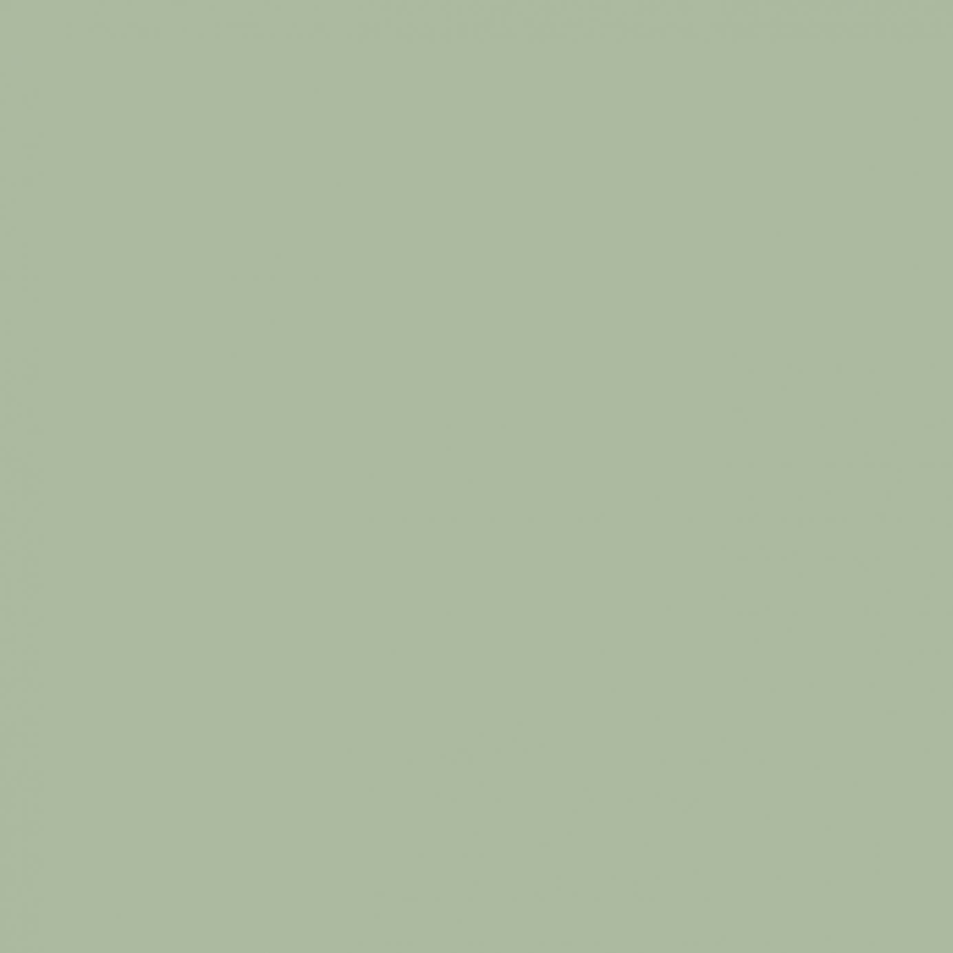 Sanderson Green Grotto Paint - House Decor Interiors