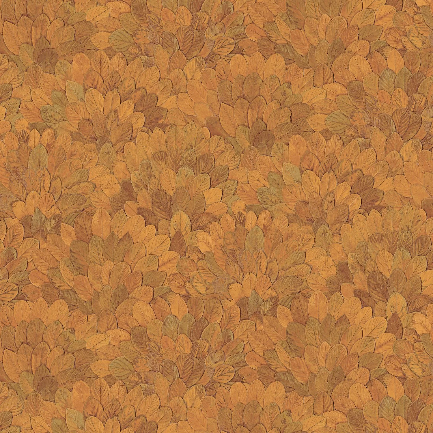 Feijoa Wallpaper Safran | Modernismo Wallpapers Casamance | 76841324