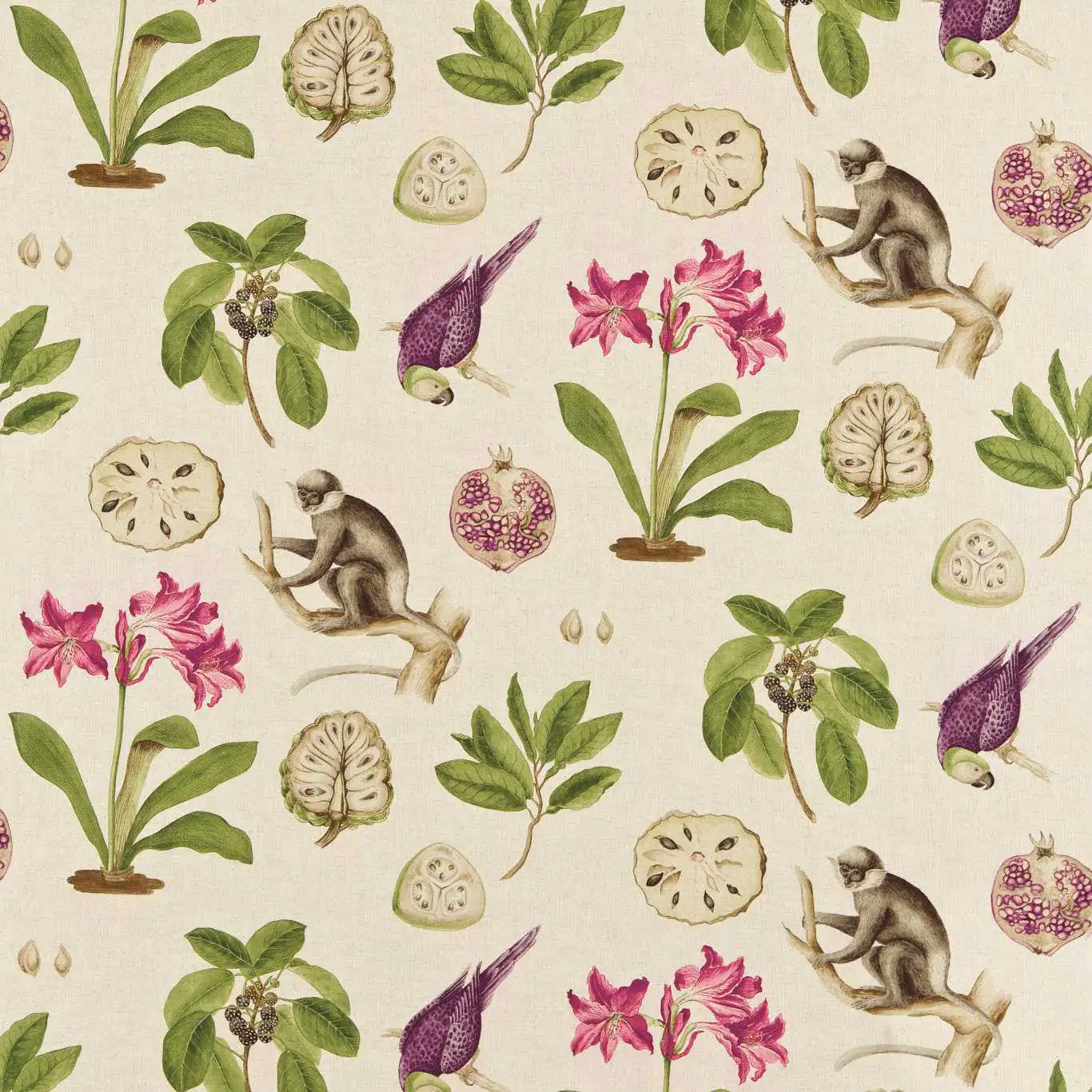 Capuchins Fabric - Boysenberry | Sanderson Curios Fabrics | DVOY223274